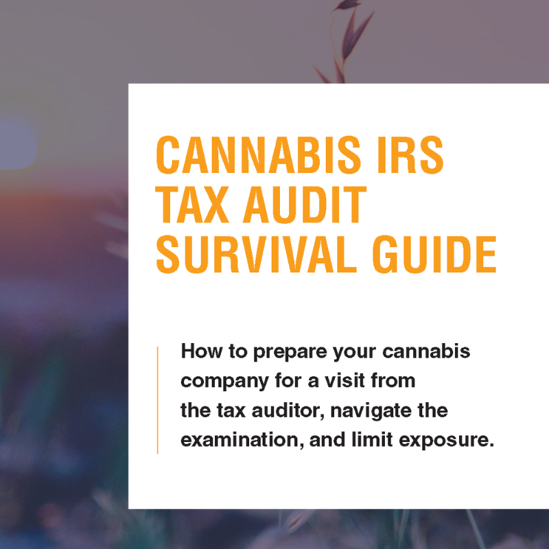 Cannabis IRS Audit Survival Guide